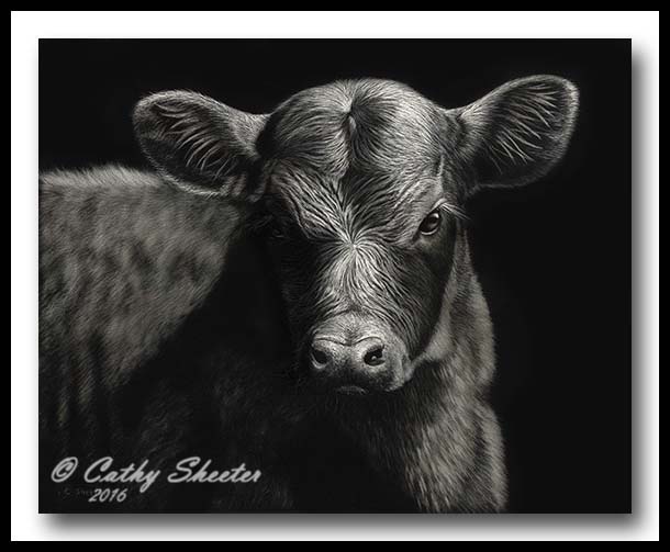 The Scratchboard Art of Cathy Sheeter