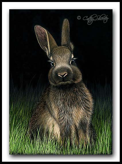 The Scratchboard Art of Cathy Sheeter - "Honey Bunny"