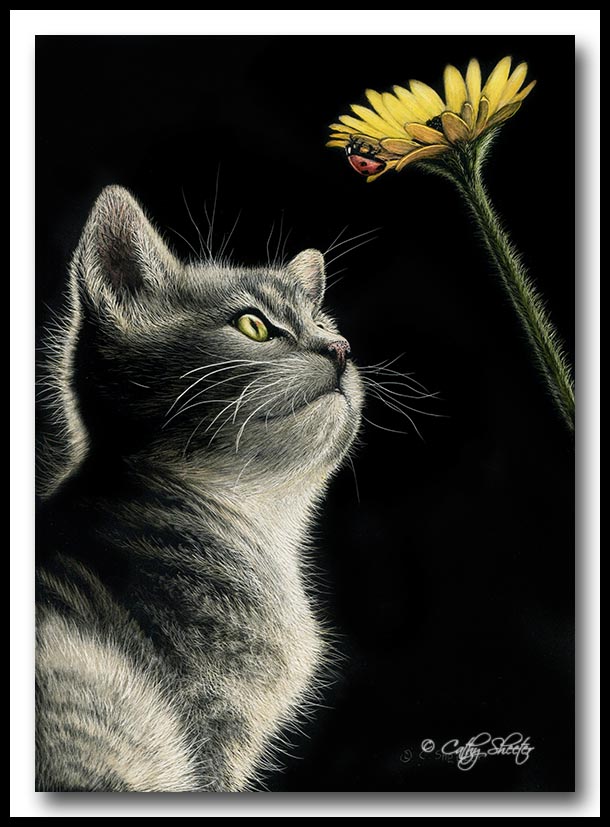 The Scratchboard Art of Cathy Sheeter