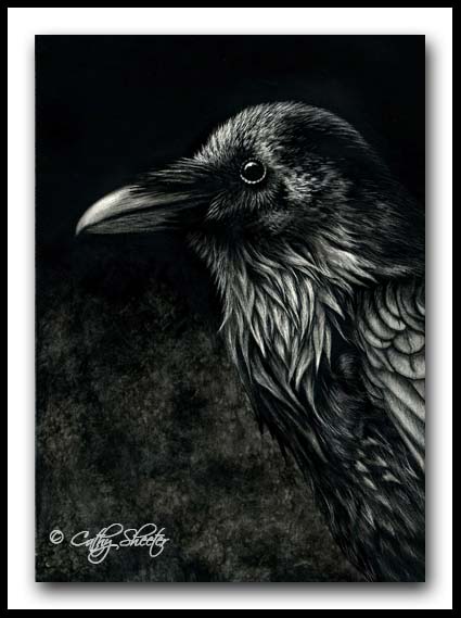 The Scratchboard Art of Cathy Sheeter - "Common Raven