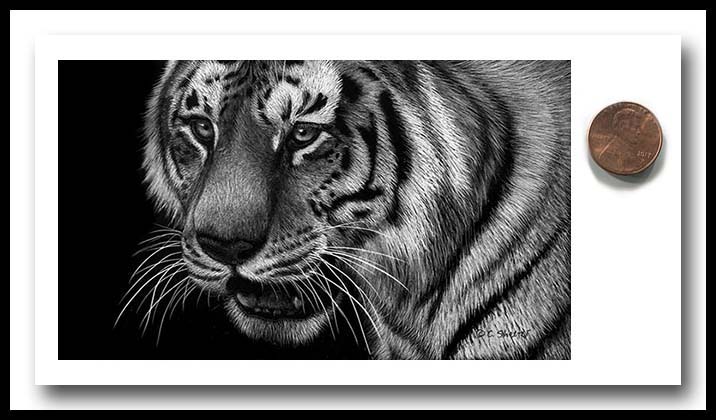 The Scratchboard Art of Cathy Sheeter