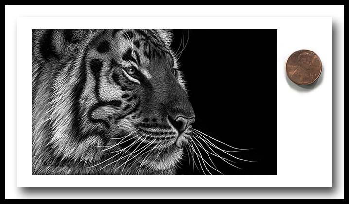 The Scratchboard Art of Cathy Sheeter